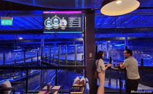 HyperDrive: Indoor Go-Kart With A Gamified Twist At The Palawan ...