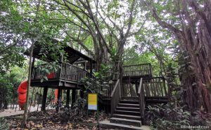 The Amazing Guide To Jacob Ballas Children’s Garden: Secret Garden Just ...