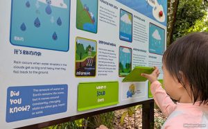 NEW Jacob Ballas Children's Garden Water Play Area: Fun With The Water ...