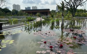 Japanese Garden: Where Tranquility Awaits With Water Lilies, Sunken Garden At Jurong Lake ...