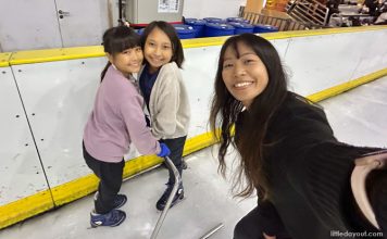 Where To Go Ice Skating Singapore: Kallang Ice World The Rink At ...
