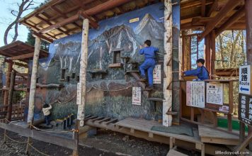 Kids Ninja Village At Togakushi: Ninja Fun For Kids - Little Day Out