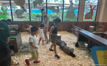KidzWorld: Singapore Zoo's New Children's Play Area With Petting Zoo ...