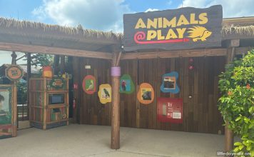 KidzWorld: Singapore Zoo's New Children's Play Area With Petting Zoo ...