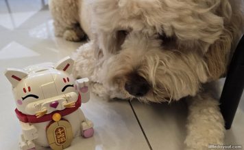 LEGO Lucky Cat 40813 Review - Little Day Out