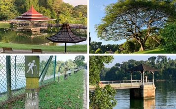 MacRitchie Reservoir Guide: Park, Trails, 15 Things To Do & More ...