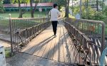 MacRitchie Reservoir Guide: Park, Trails, 15 Things To Do & More ...