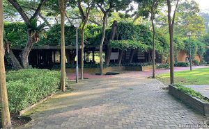 MacRitchie Reservoir Guide: Park, Trails, 15 Things To Do & More ...