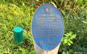 MacRitchie Reservoir Guide: Park, Trails, 15 Things To Do & More ...