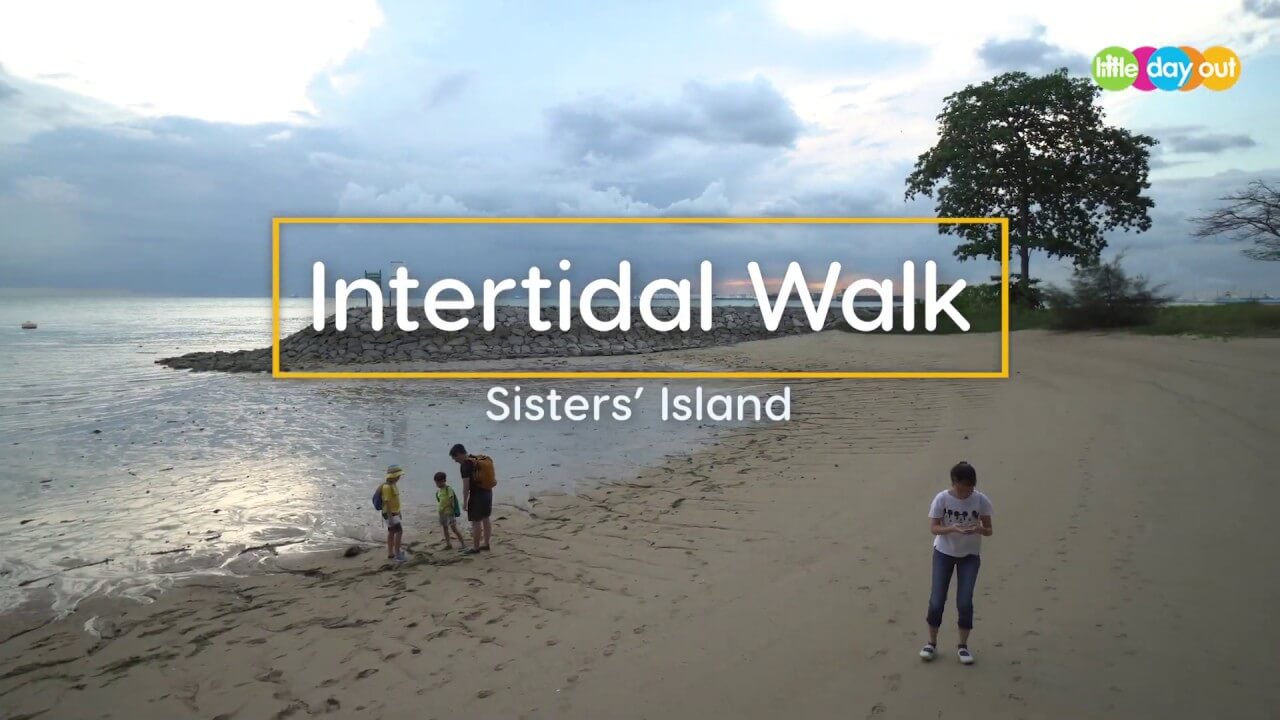 [Video] Intertidal Walk At Sisters' Island - Little Day Out