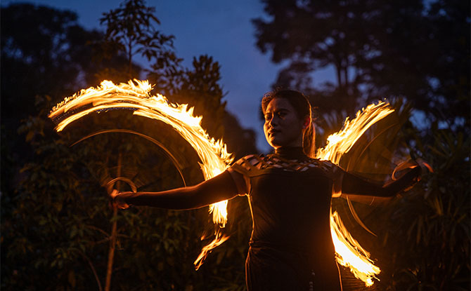 Amazing Guide To Night Safari: See The Animals In Nocturnal Settings ...