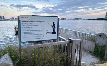 Visiting Pandan Reservoir: Leisure Spot With Tranquil Waters & 6 KM ...