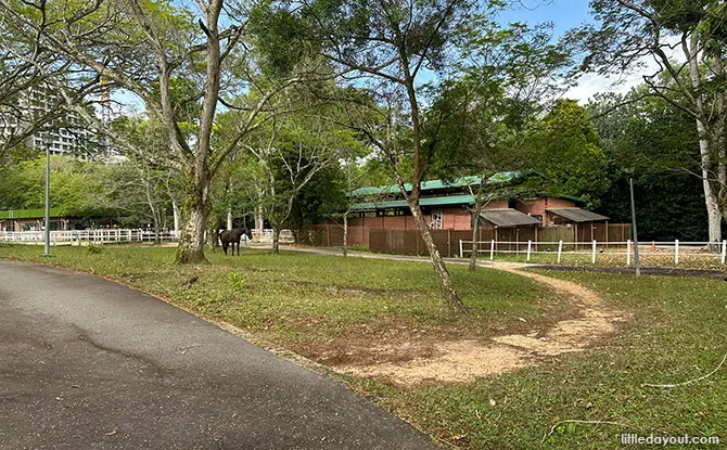 16 Reasons Why Pasir Ris Park Is Awesome For A Day Of Exploration ...