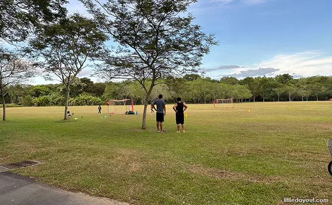 16 Reasons Why Pasir Ris Park Is Awesome For A Day Of Exploration ...