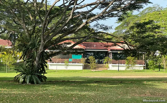 16 Reasons Why Pasir Ris Park Is Awesome For A Day Of Exploration ...