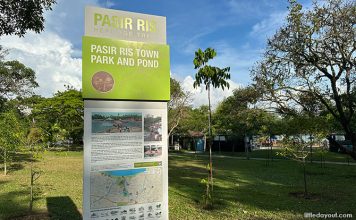 Pasir Ris Town Park: Fishing Pond In The Middle Of Town [2024] - Little ...