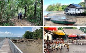 Pulau Ubin Guide: All You Need To Know About Visiting The Rustic Island ...