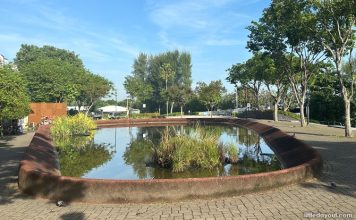 Punggol Point Park: Gateway To A Seaside Stroll - Little Day Out