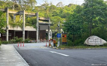 Rifle Range Nature Park: Quarry Wetland, Colugo Deck & 7 KM Of Trails ...