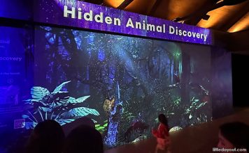 Secret Wild-erland: A Day-To-Night Experience Across River Wonders ...