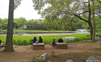 Seoul Forest: Park, Playgrounds & Nature - Little Day Out