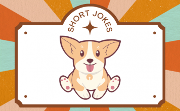 150 Funny Short Jokes For A Quick Laugh - Little Day Out