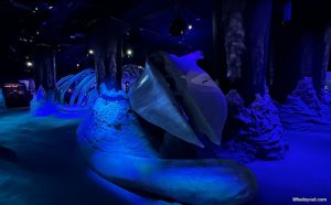 Singapore Oceanarium At RWS: An Underwater World Of Wonder At Resort ...