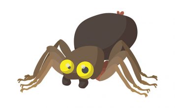 75 Funny Spider Jokes To Make Your Head Spin With Laughter - Little Day Out