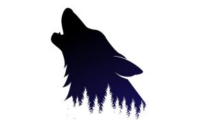 42 Werewolf Jokes That'll Have You Howling With Laughter - Little Day Out