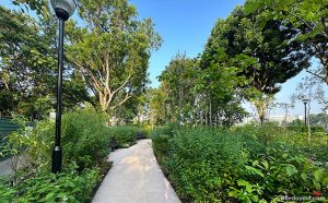 Yishun Pond Park Therapeutic Garden: Exercise Mound & Lawn Area ...